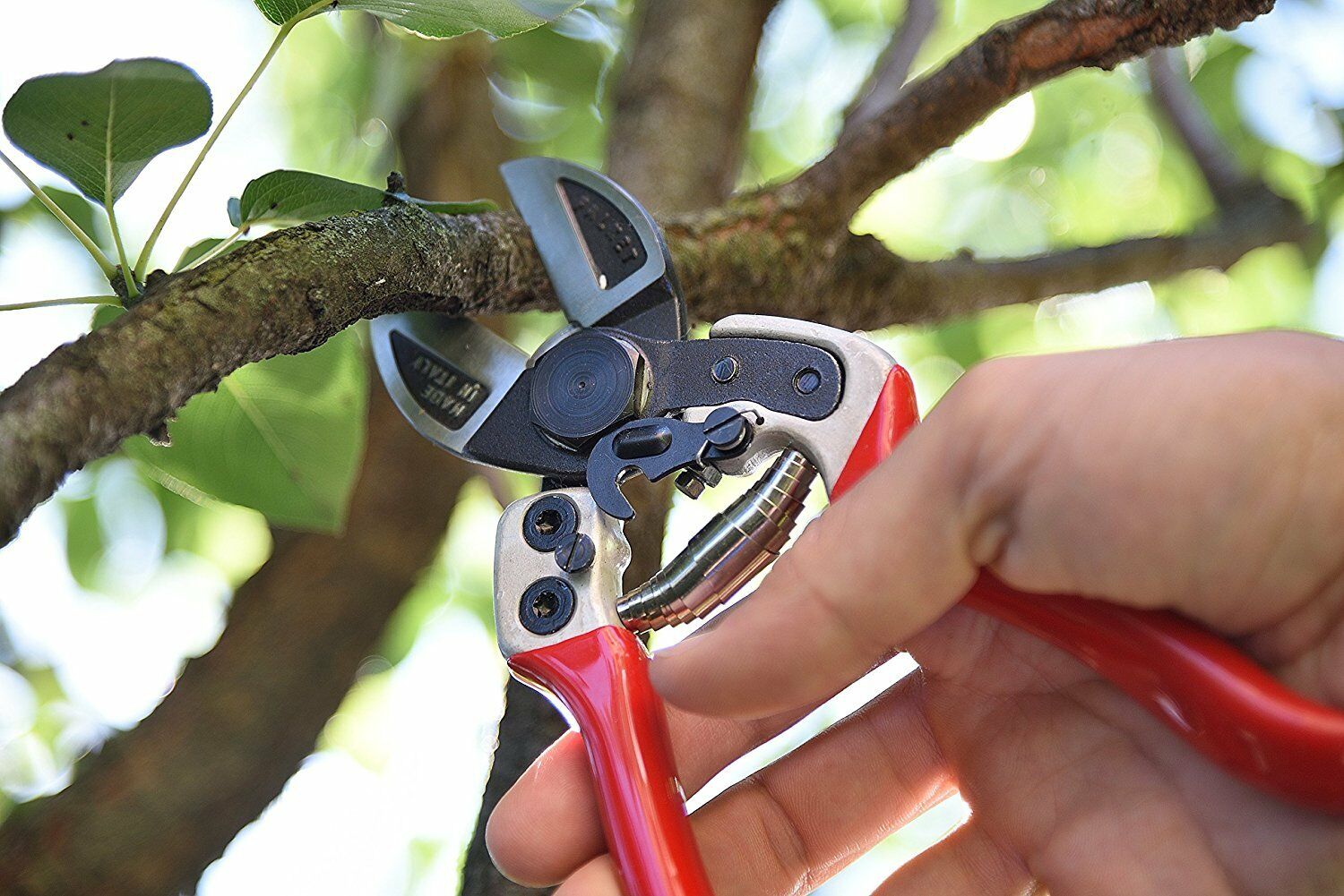 Le forbici 2022 EVO - MG Marketing Giardinaggio