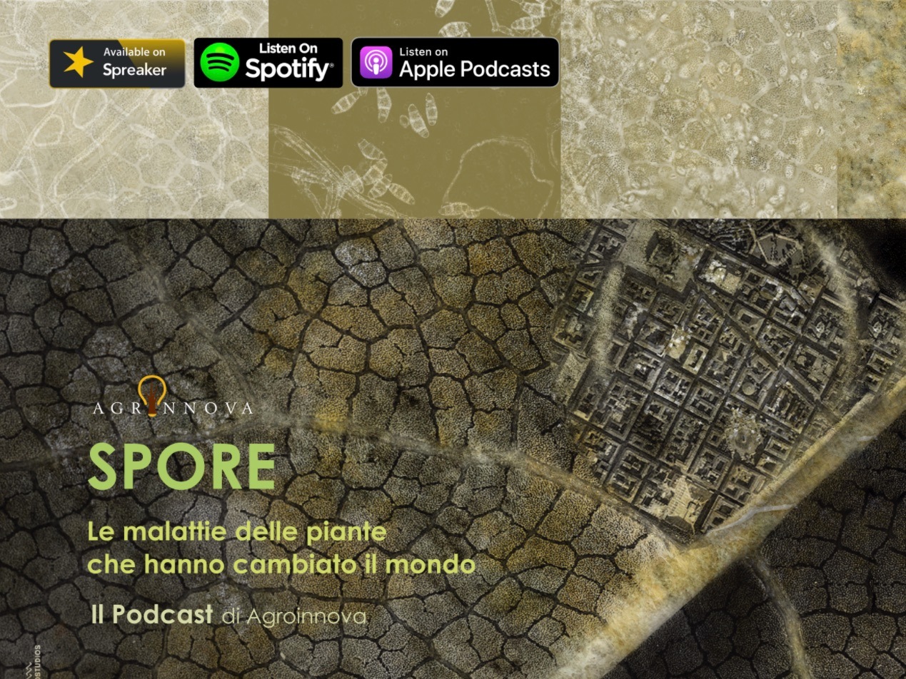 I podcast sulle malattie delle piante - MG Marketing Giardinaggio