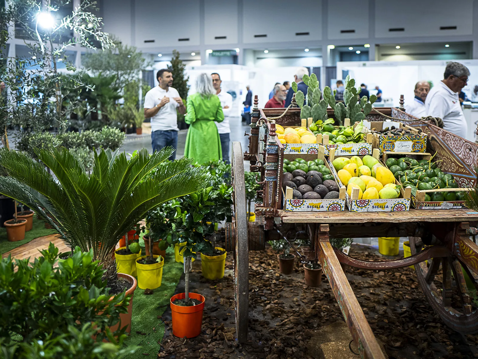 A Parma la prima Green Agorà by Green Italy del 2024 - MG Marketing ...