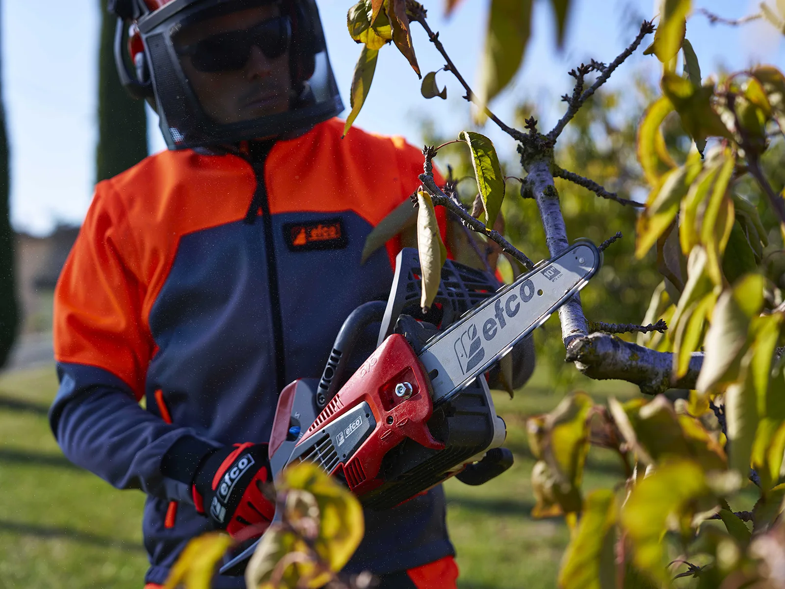 Le nuove motoseghe Oleo-Mac GST 250 R ed Efco MT 2500 R - MG Marketing ...